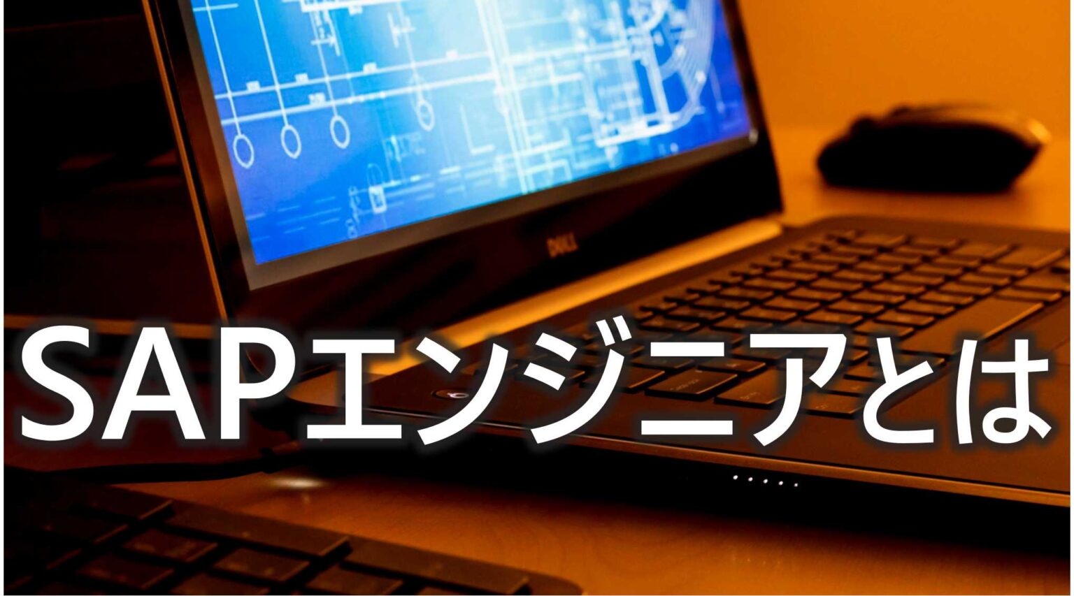 SAPエンジニアとは｜仕事内容や将来性と必要となるスキルを解説